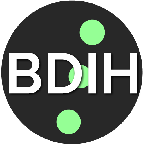 Basque Digital Innovation HUB